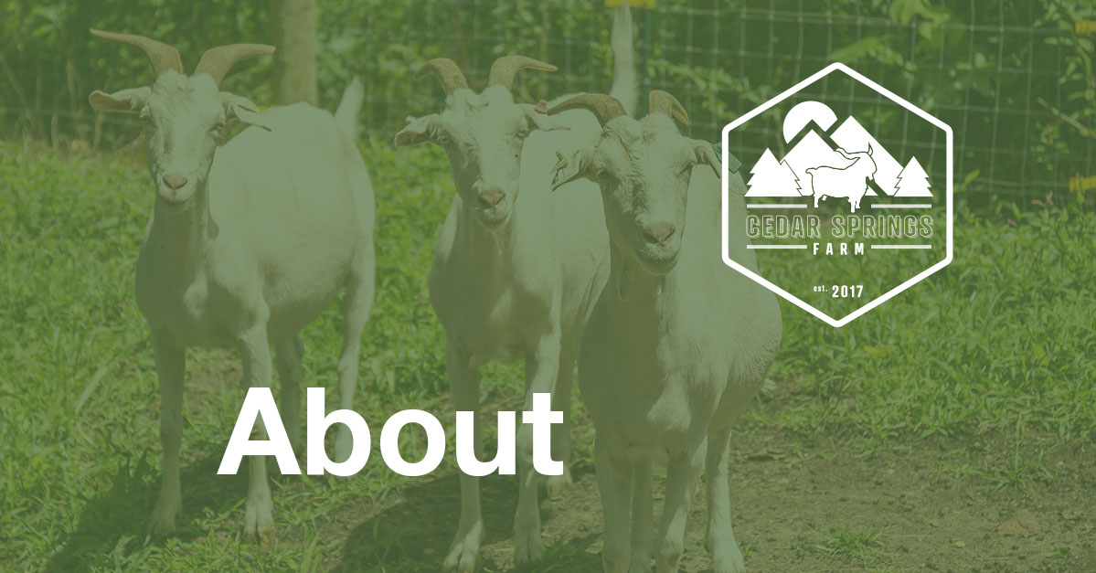 About CSF – Cedar Springs Farm
